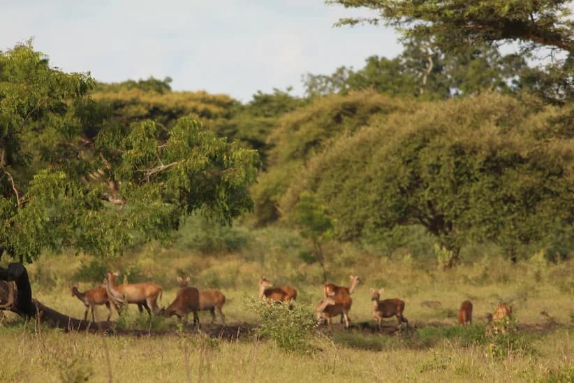 Exemple de Circuit – Java – Bali Prana Tour